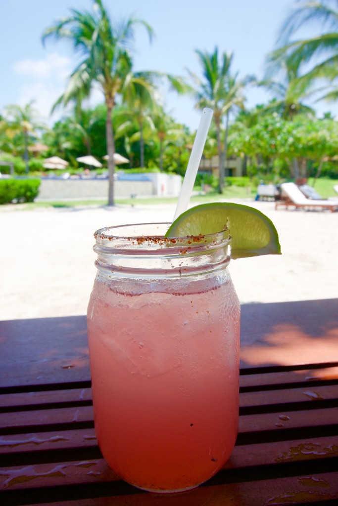 THE PINK PALOMA | The Divine Addiction